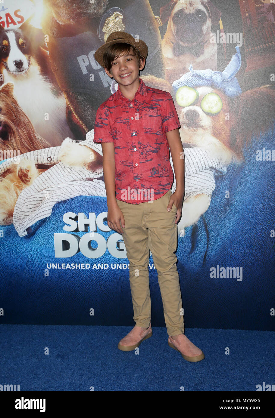 Premiere Of Global Road Entertainment's "Show Dogs" Featuring: Prestyn ...