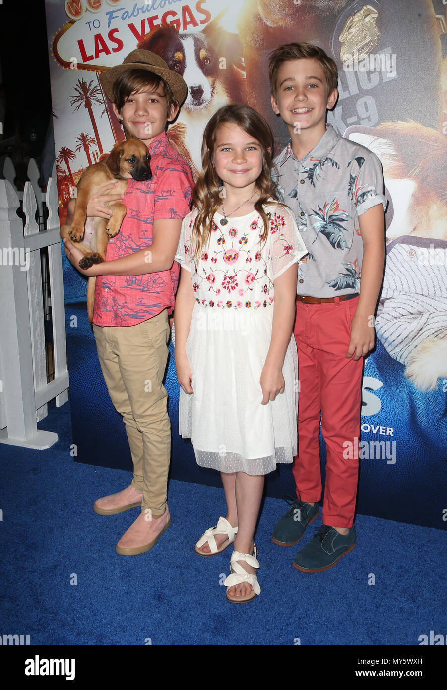 Premiere Of Global Road Entertainment's "Show Dogs" Featuring: Prestyn ...