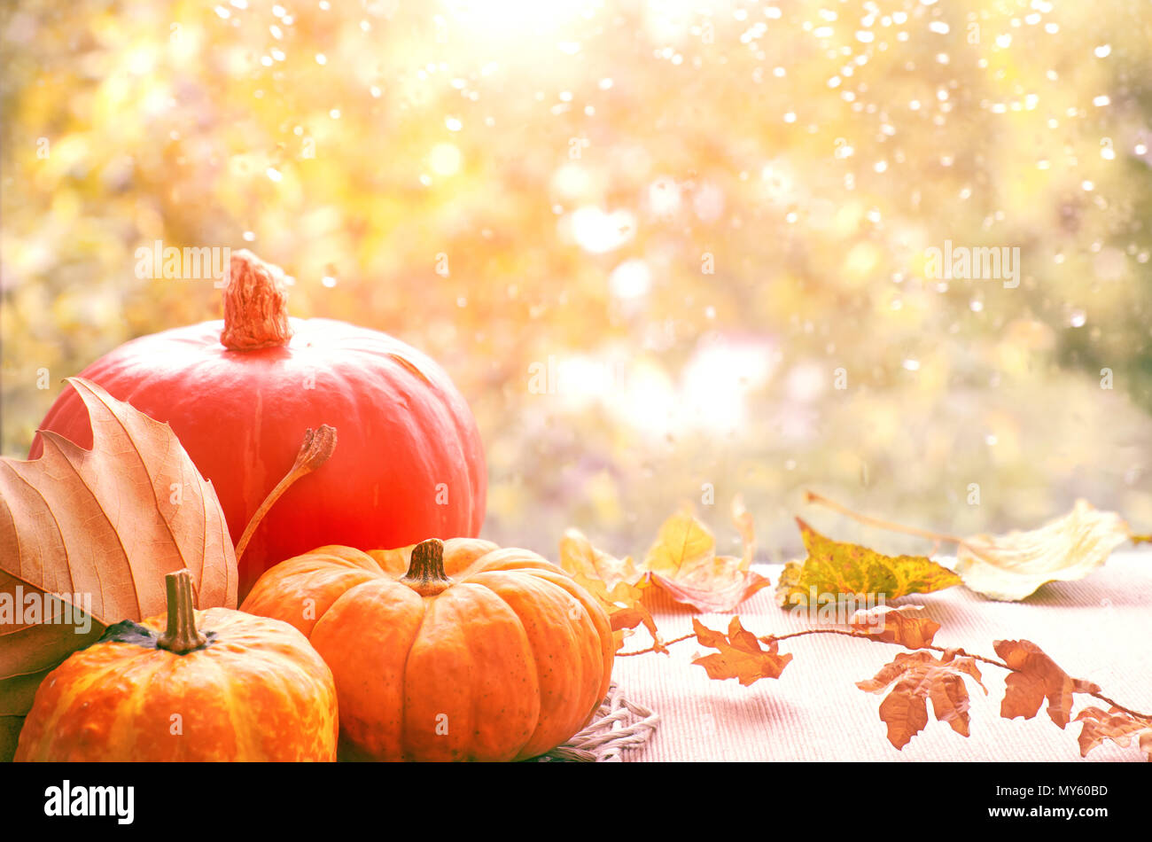 Autumn background with pumpkins and dry leaves on a window board on a ...