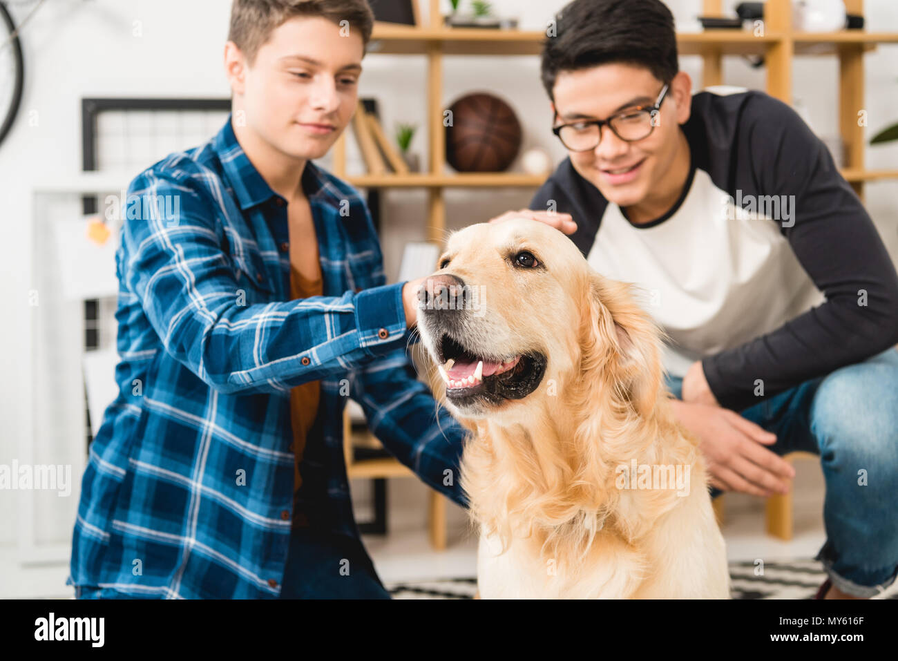 Teen having fun with an animal hi-res stock photography and images - Alamy