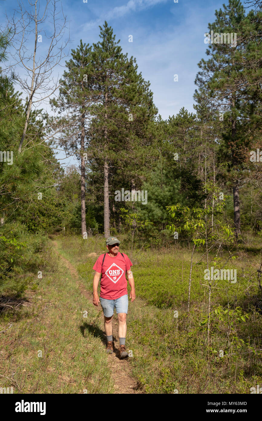 Vanderbilt, Michigan - John West, 71, hikes on the Shingle Mill Pathway ...