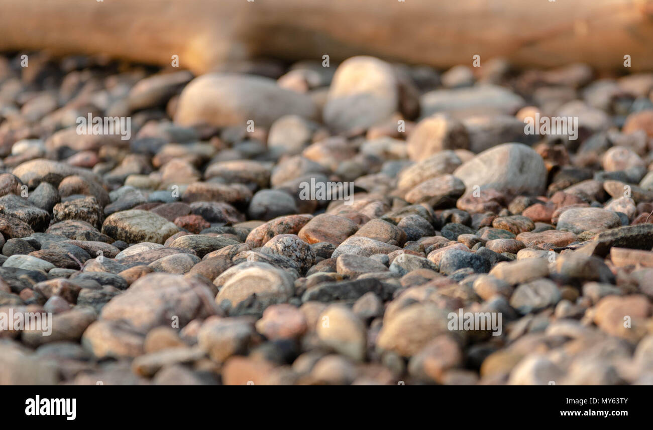 dew covered rocks cover the sandy beaches of Driftwood Provincial Park ...