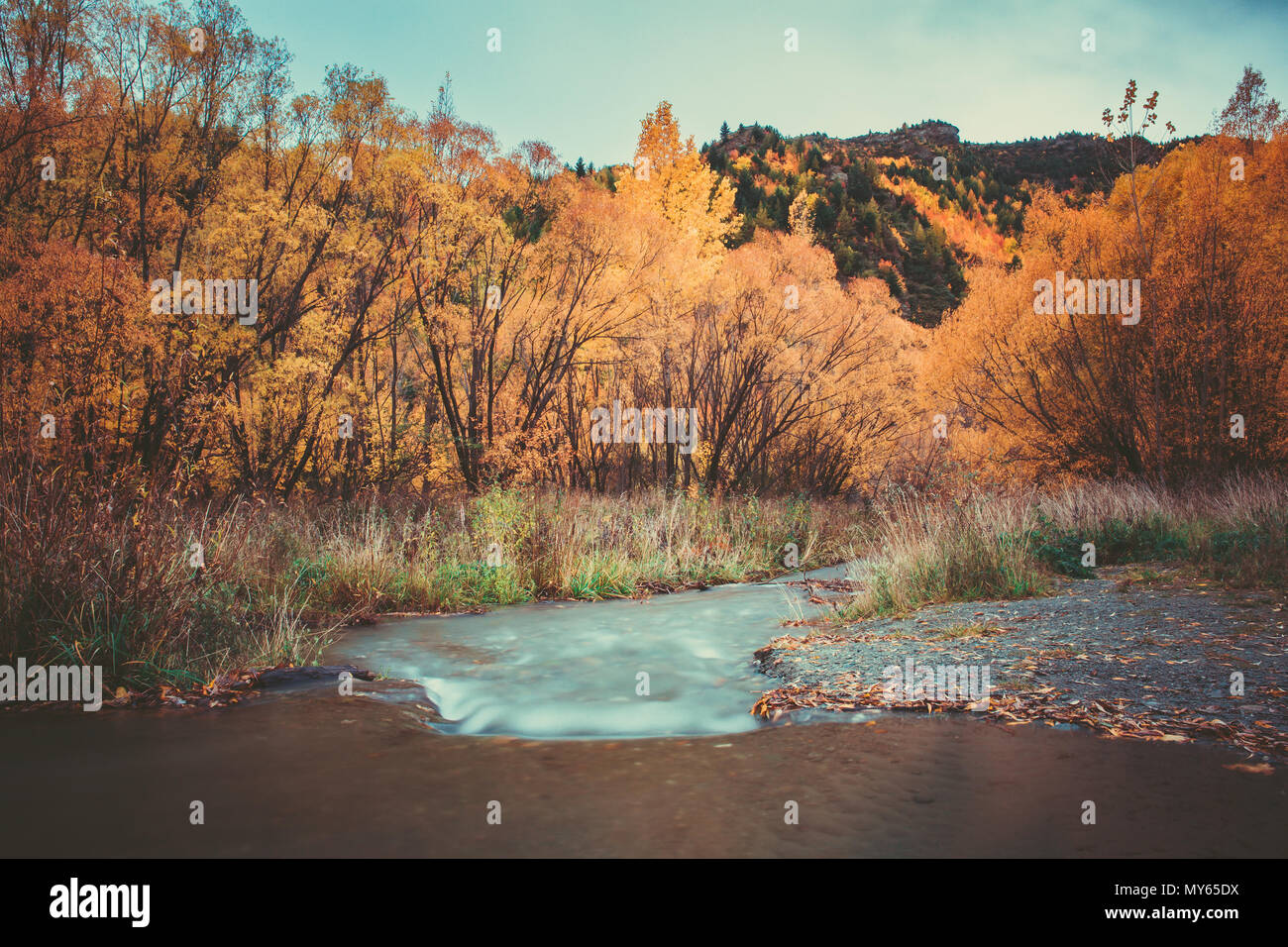 Autumn in Queenstown New Zealand landscape Stock Photo - Alamy