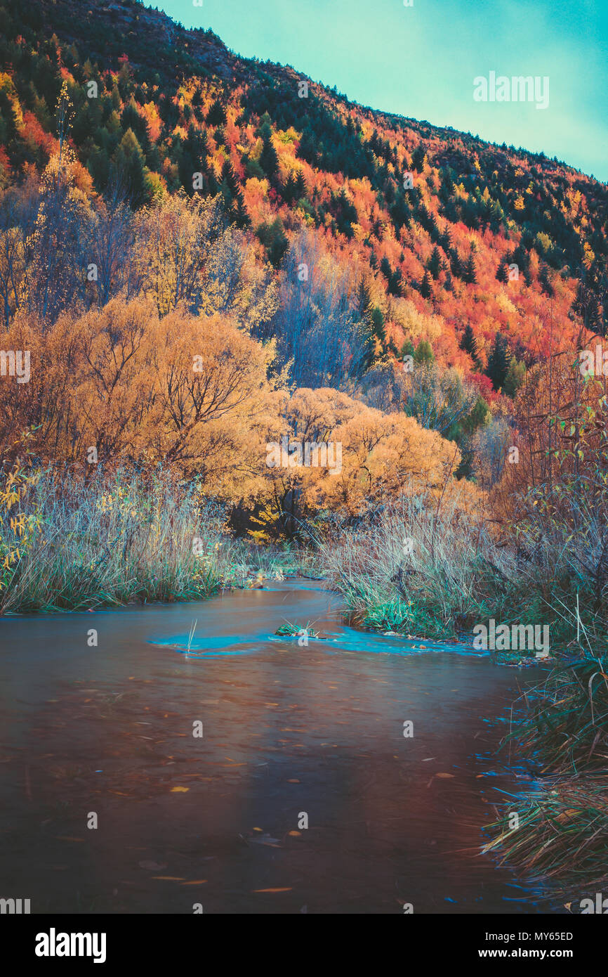 Autumn in Queenstown New Zealand landscape Stock Photo - Alamy