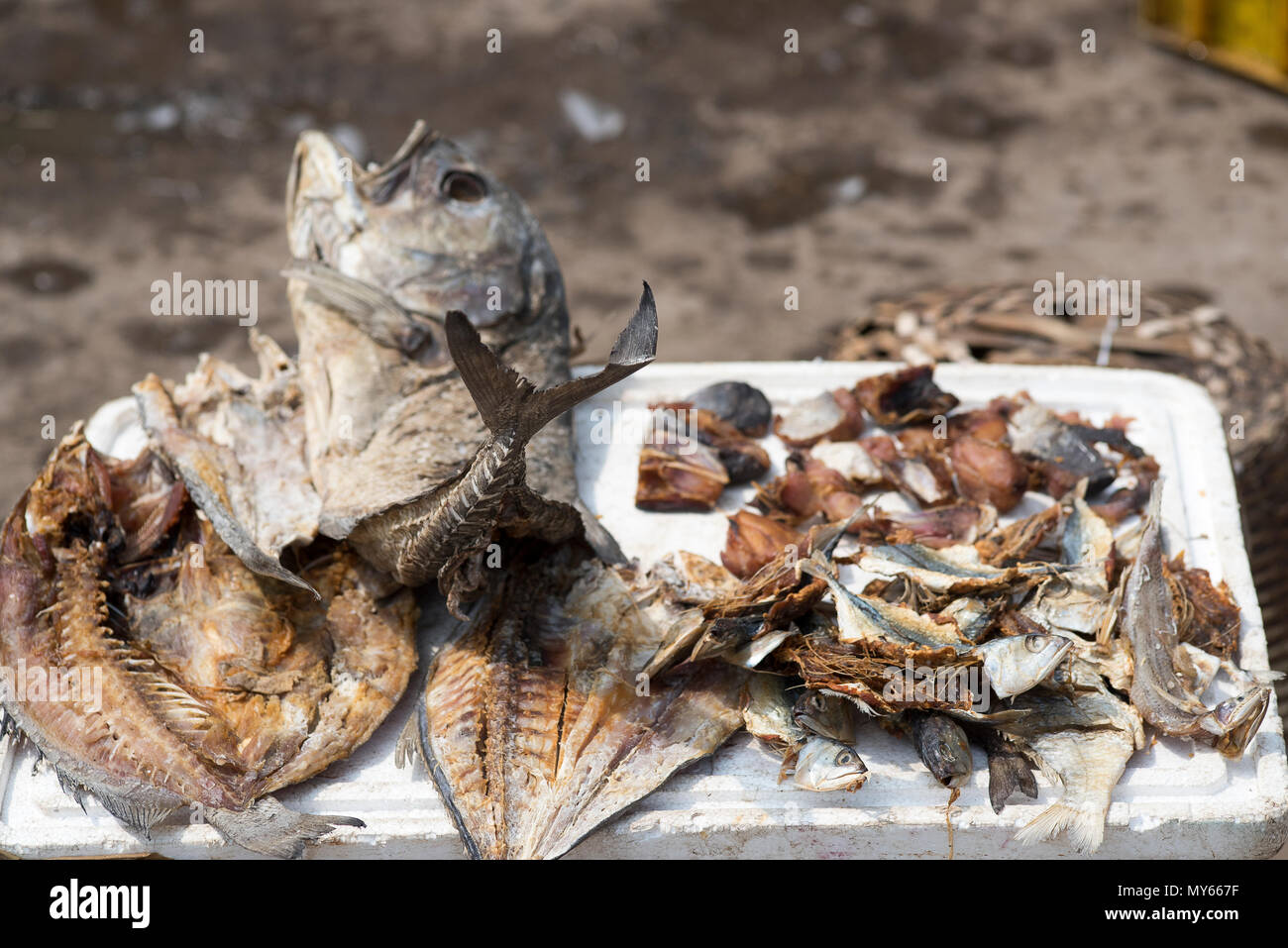 Dried sea fish hi-res stock photography and images - Alamy
