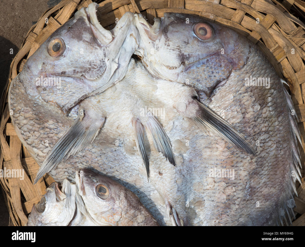 Dried sea fish hi-res stock photography and images - Alamy