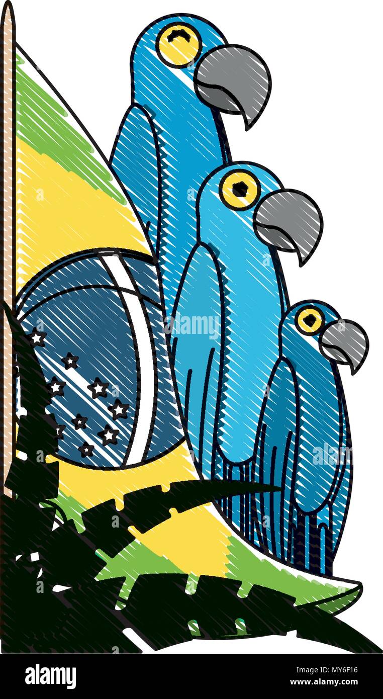 Brazilian flag with macaw birds over white background, vector ...