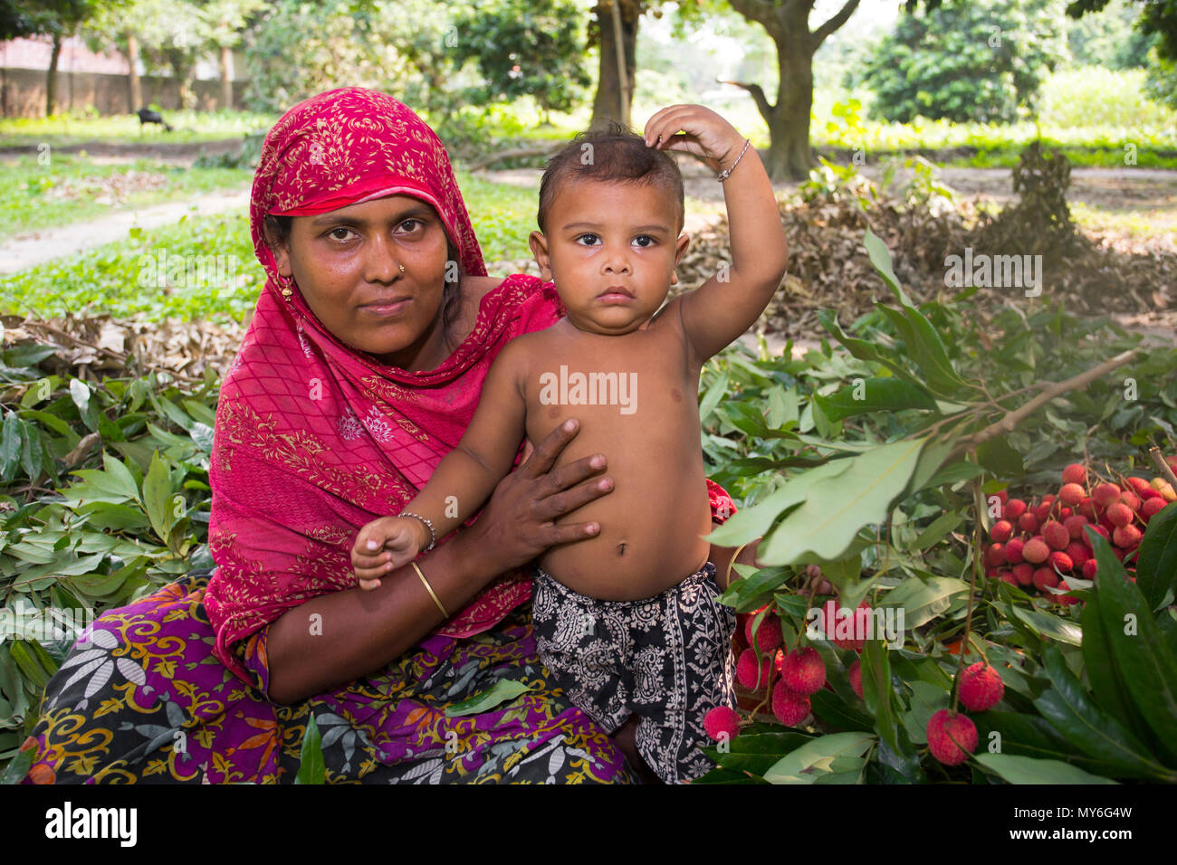 Lychee farmer family Collecting and slotting good quality of Leeches at ...