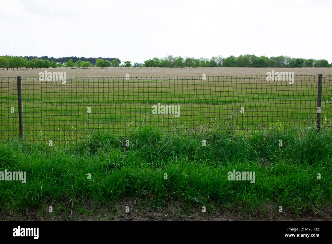Deer fencing hi-res stock photography and images - Alamy