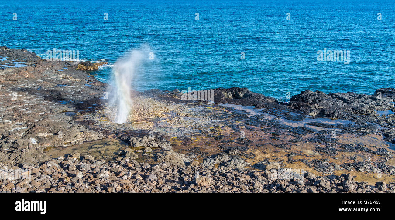Spouting hi-res stock photography and images - Alamy