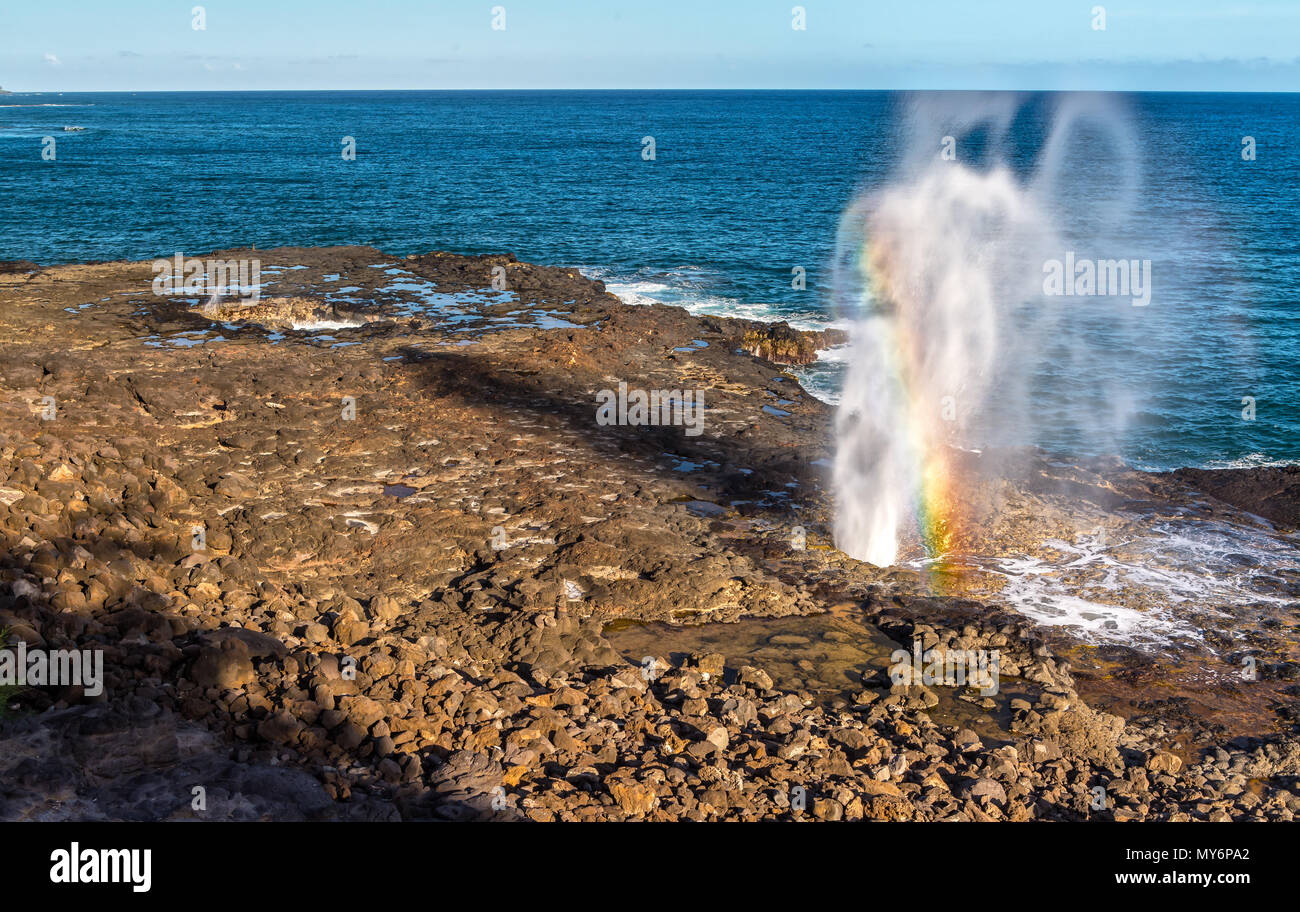 Spouting hi-res stock photography and images - Alamy