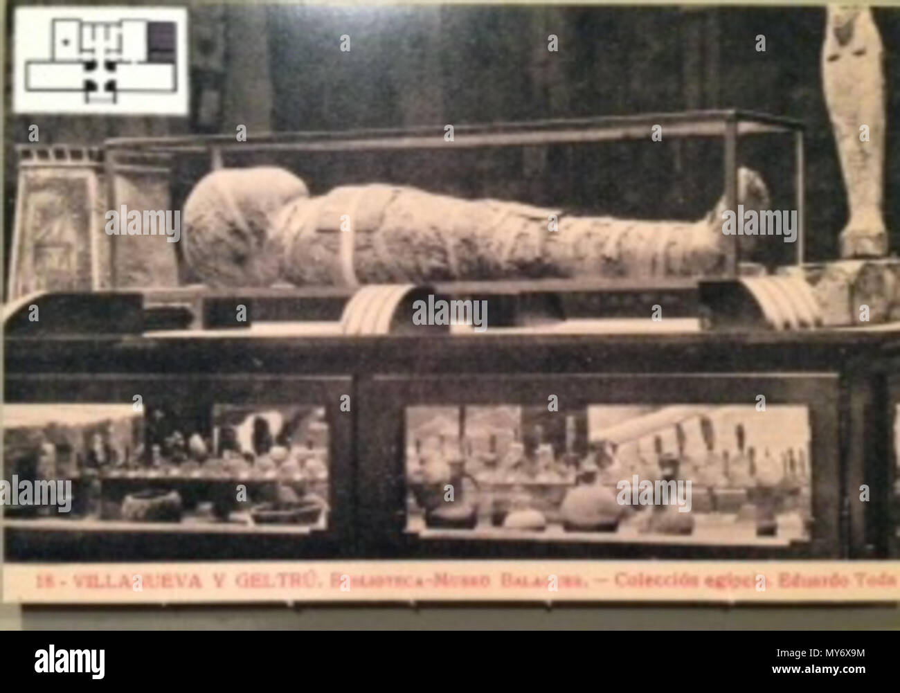 Nesi hi-res stock photography and images - Alamy