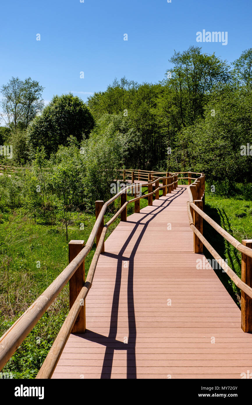 wooden boardwalk in green meadow tourist trail with trees, resting area ...
