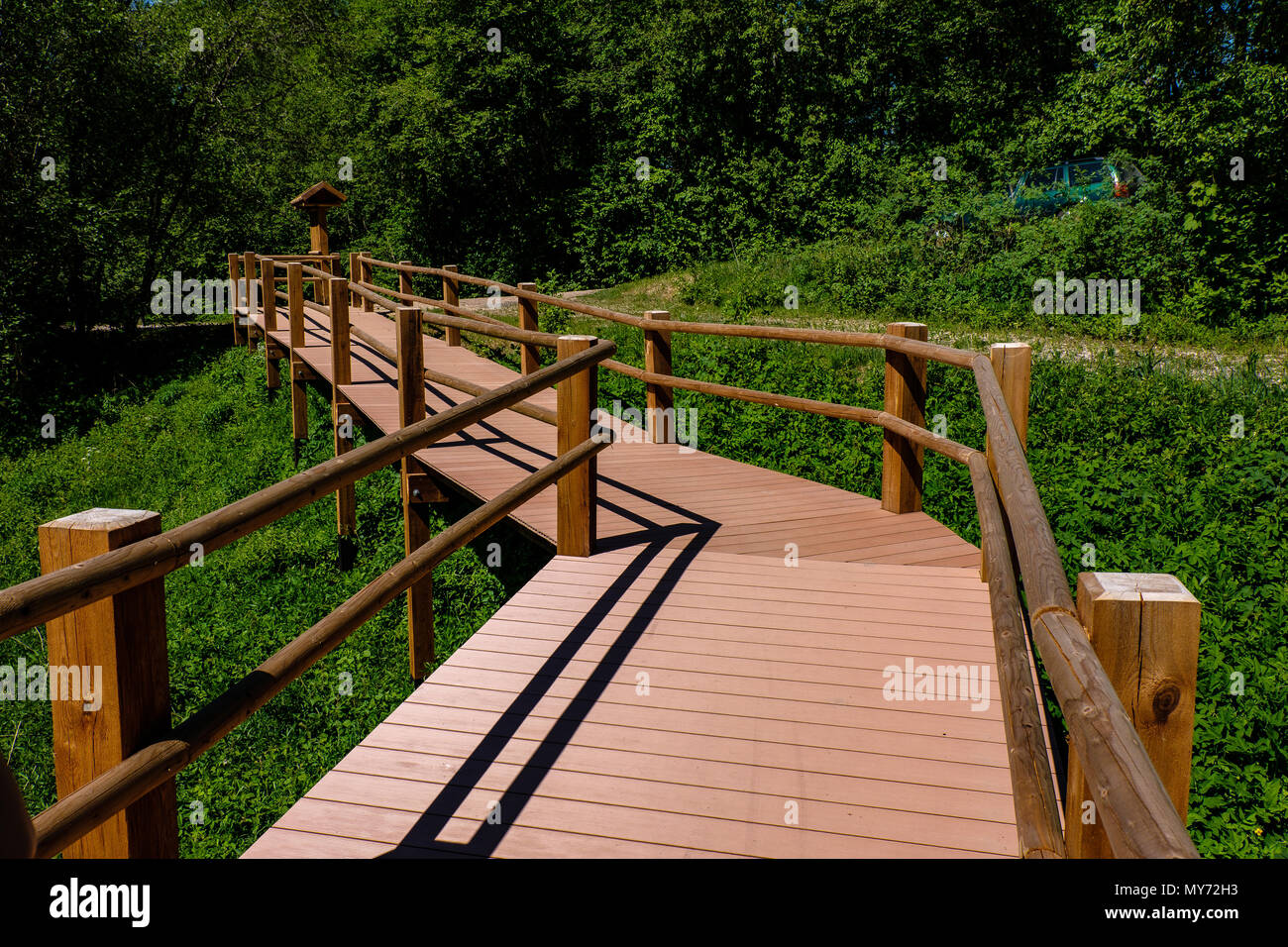 wooden boardwalk in green meadow tourist trail with trees, resting area ...