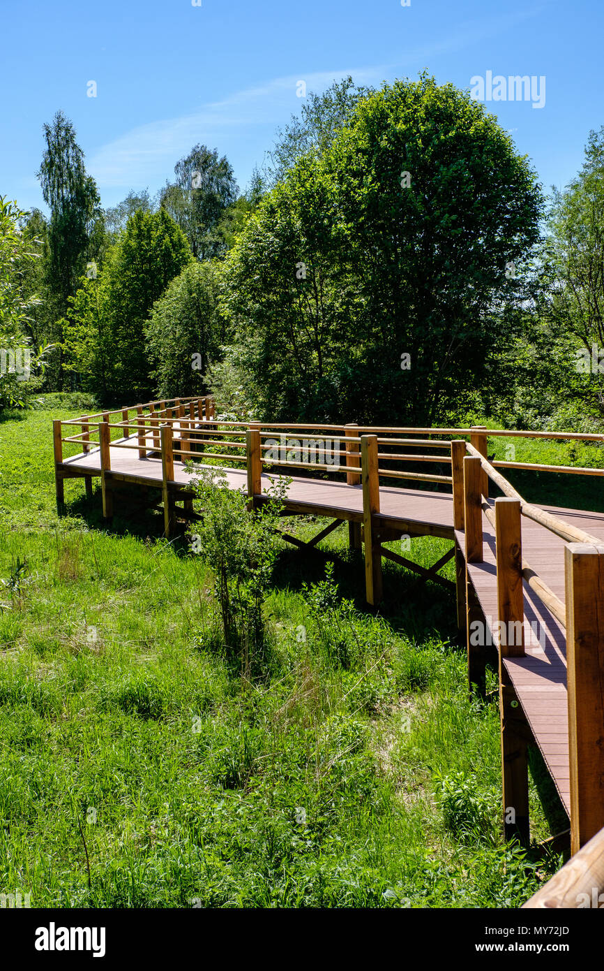 wooden boardwalk in green meadow tourist trail with trees, resting area ...