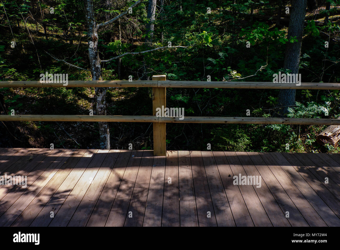 wooden boardwalk in green meadow tourist trail with trees, resting area ...