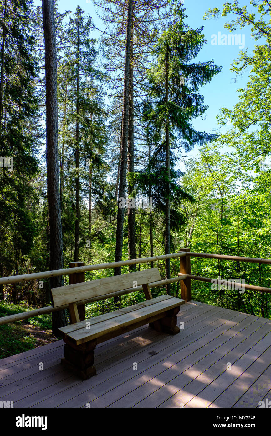 wooden boardwalk in green meadow tourist trail with trees, resting area ...