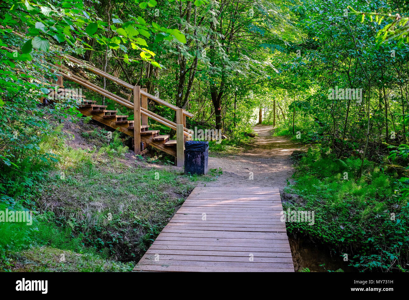 wooden boardwalk in green meadow tourist trail with trees, resting area ...