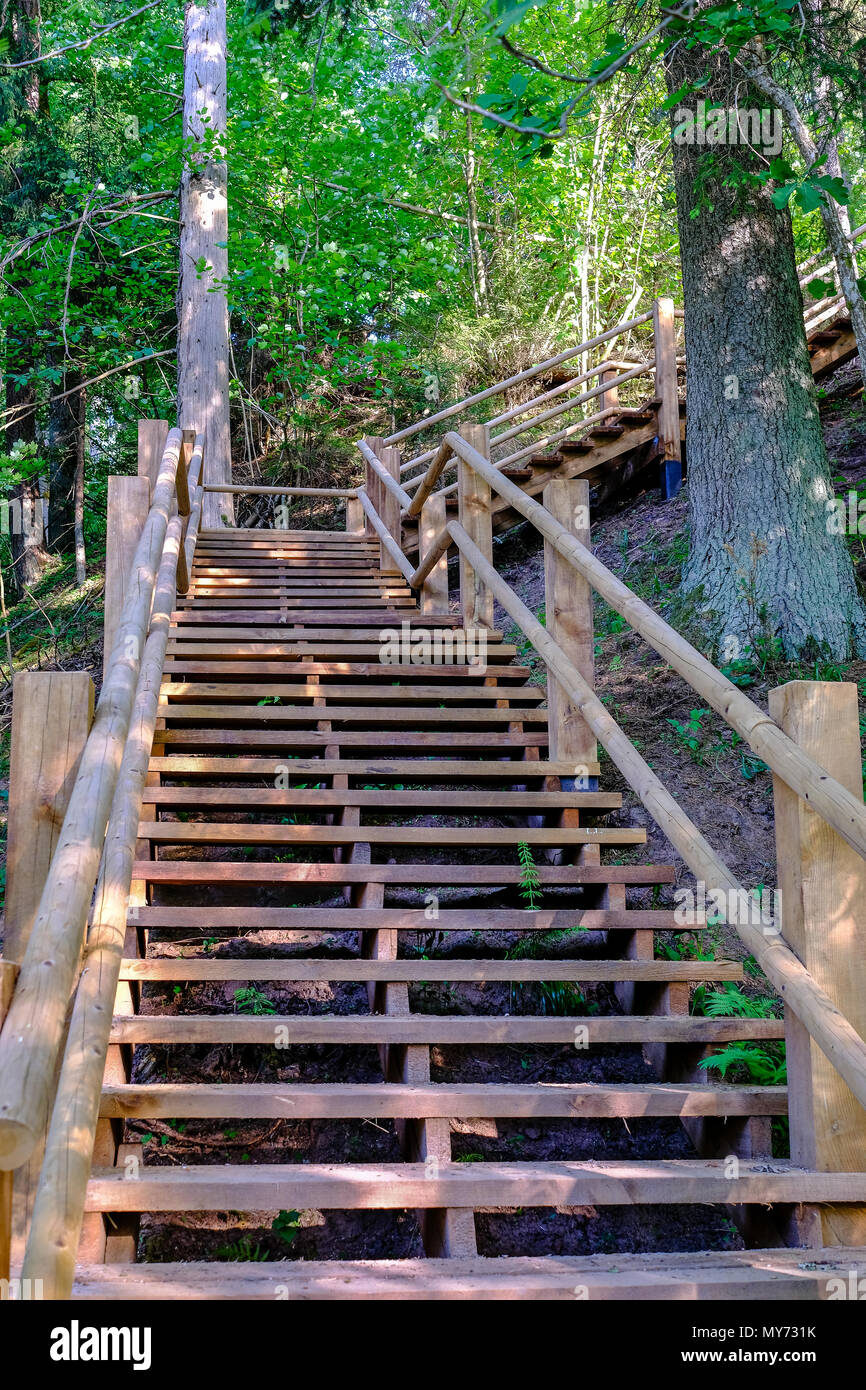 wooden boardwalk in green meadow tourist trail with trees, resting area ...