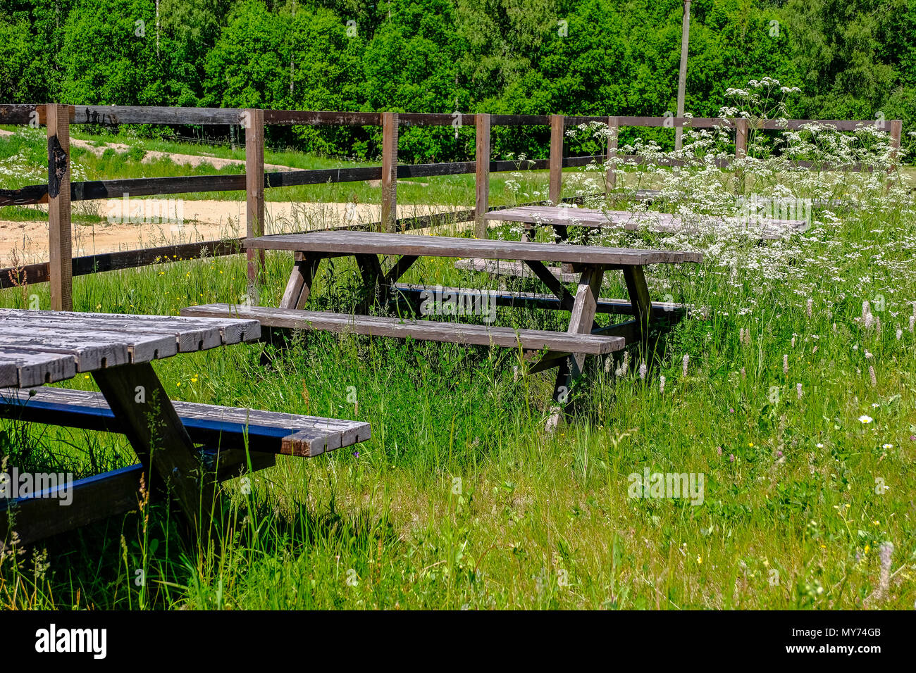 wooden boardwalk in green meadow tourist trail with trees, resting area ...