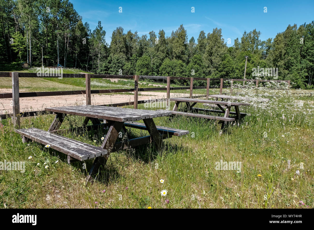 wooden boardwalk in green meadow tourist trail with trees, resting area ...