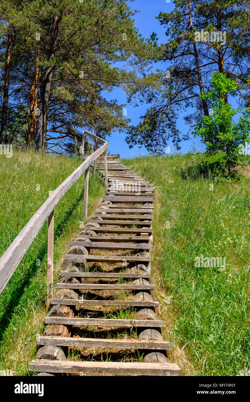 wooden boardwalk in green meadow tourist trail with trees, resting area ...