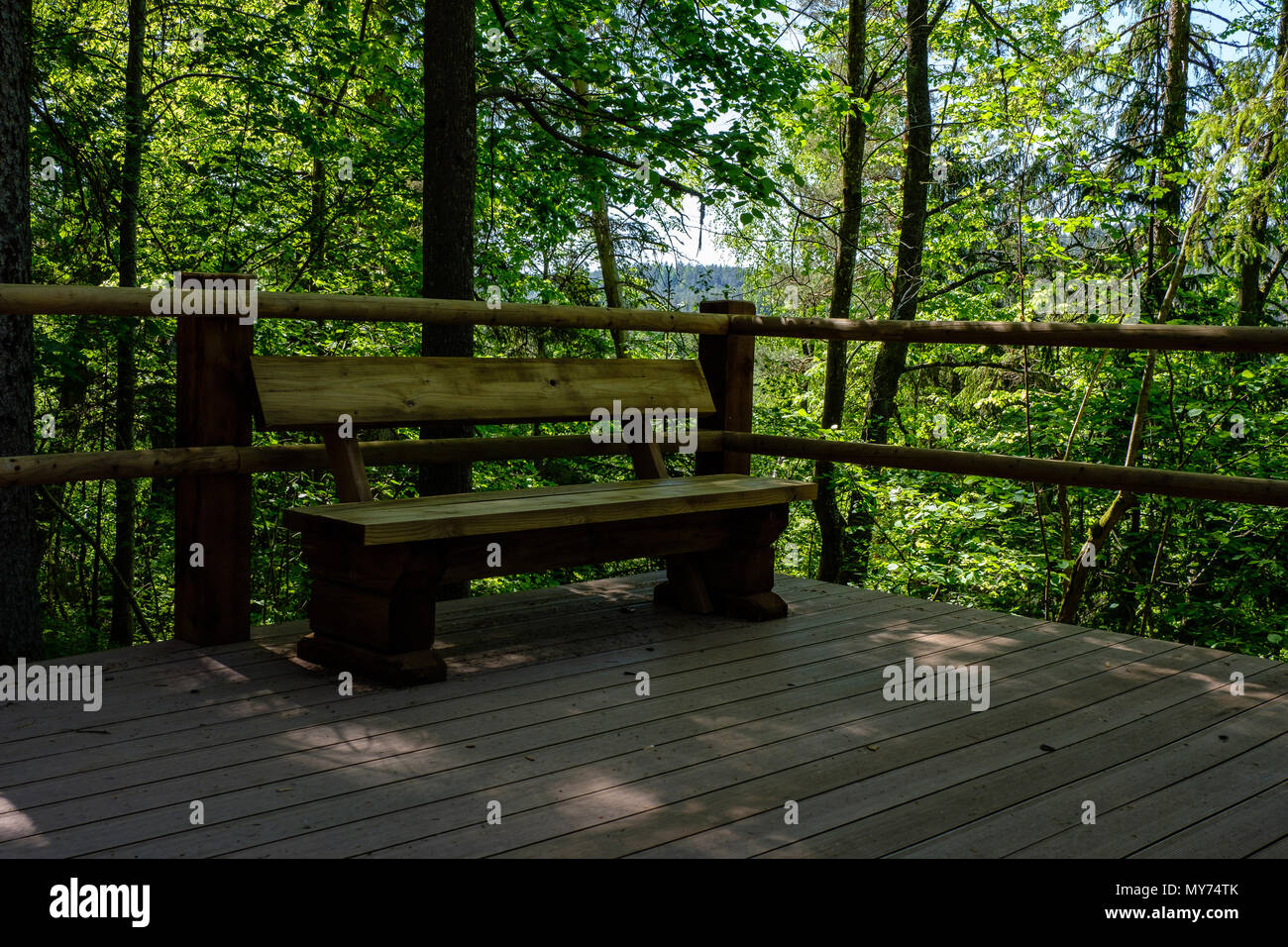 wooden boardwalk in green meadow tourist trail with trees, resting area ...
