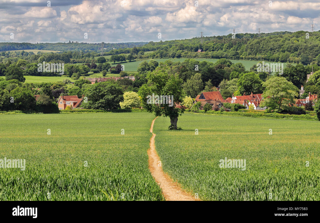 An English Rural Landscape with track through a field in the Chiltern ...