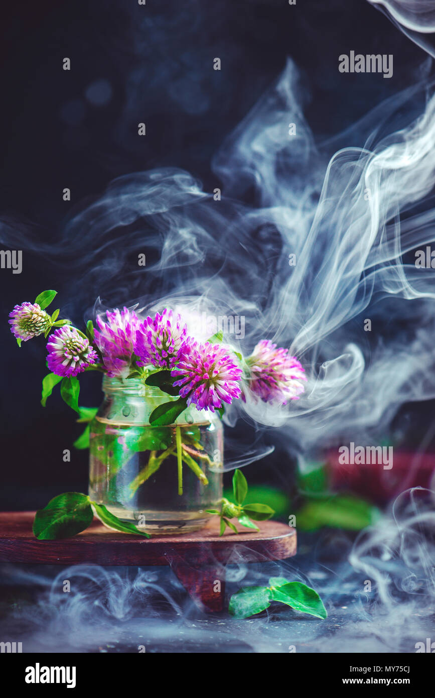 Wildflower rising smoke hi-res stock photography and images - Alamy