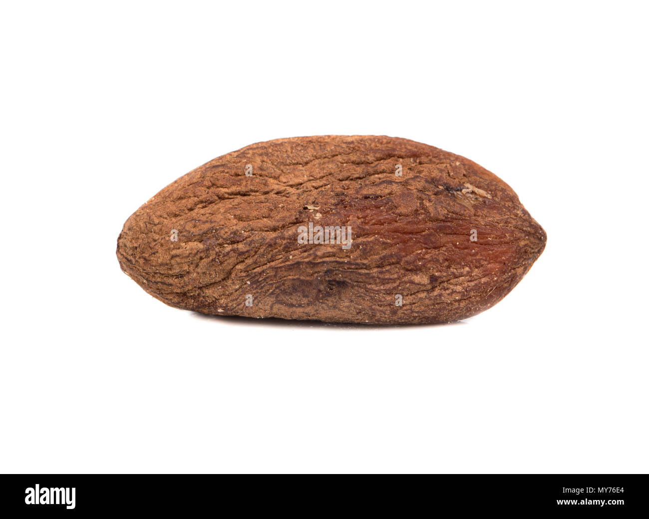 Brazil nuts in shell isolated on white background Stock Photo - Alamy