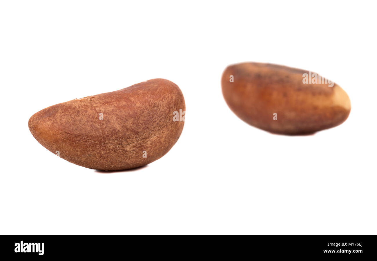 Two Brazil nuts isolated on white background Stock Photo - Alamy
