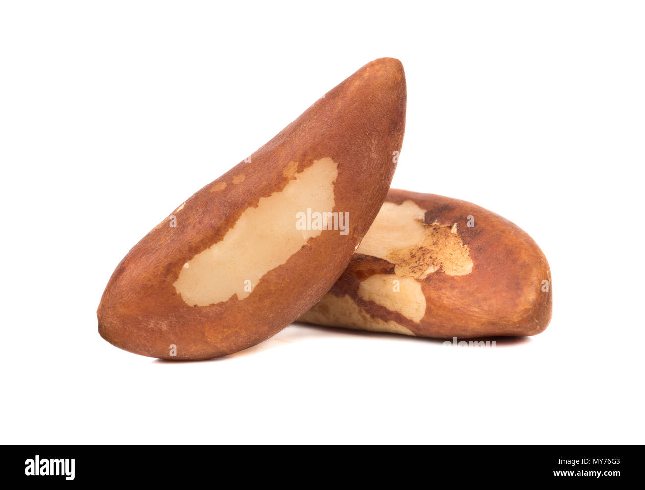 Two Brazil nuts isolated on white background Stock Photo - Alamy