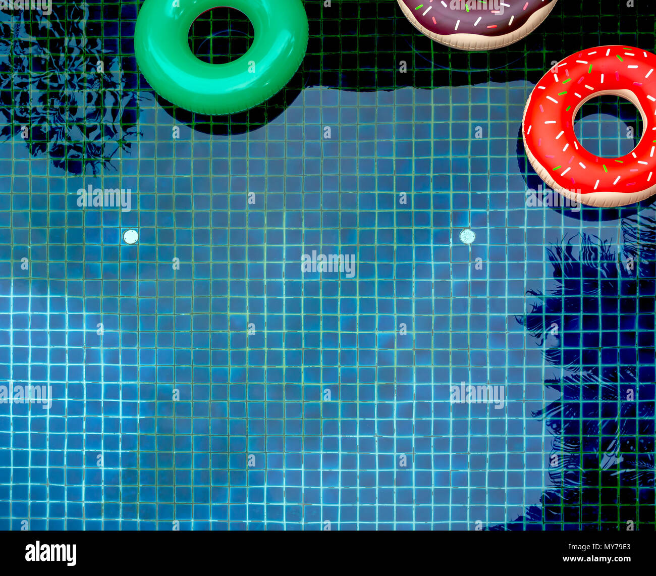 Colorful Pool Float Rings are Floating on Swimming Pool Background ...