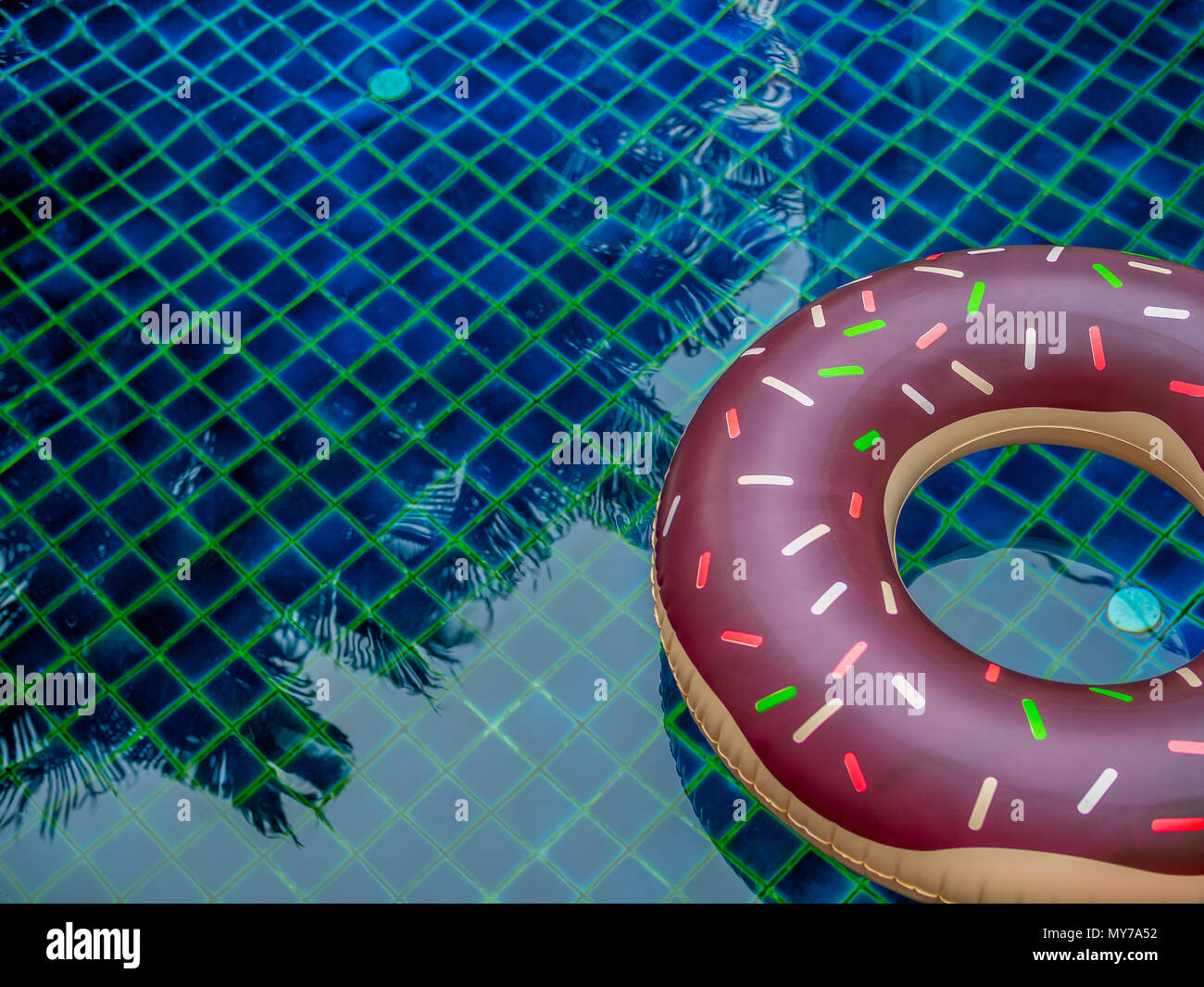 Pool Float Ring are Floating on Swimming Pool Background, Summer ...