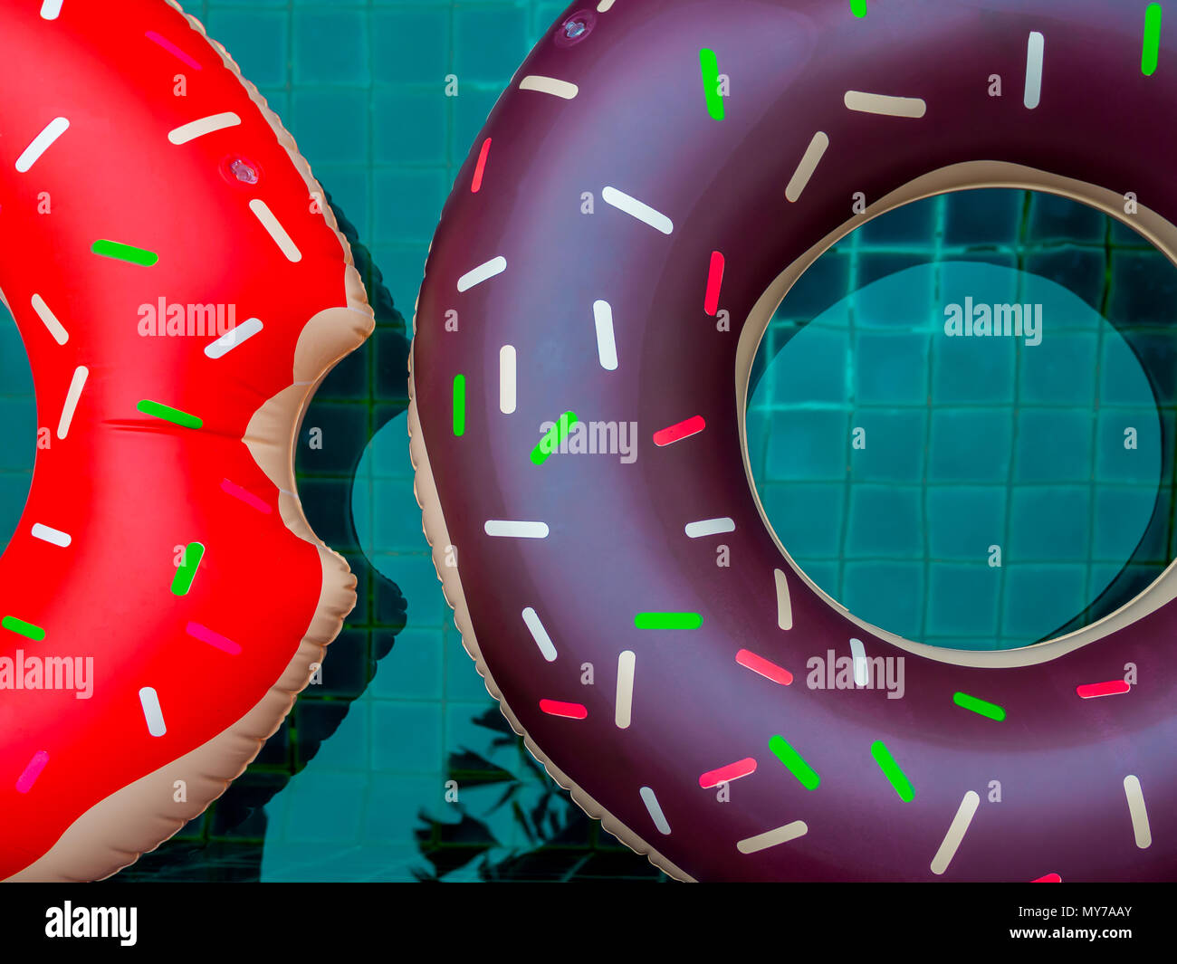 Colorful Pool Float Rings are Floating on Swimming Pool Background ...