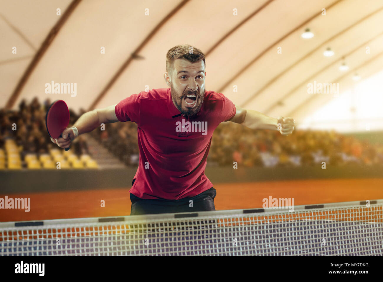 The table tennis player celebrating victory Stock Photo - Alamy