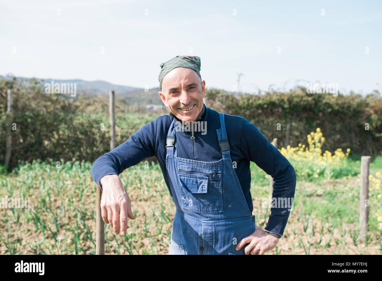 Vegetable man hi-res stock photography and images - Alamy
