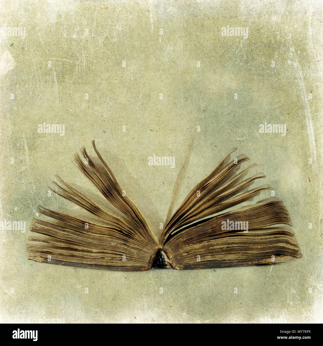 Old book with weathered pages showcasing unique texture and organic ...