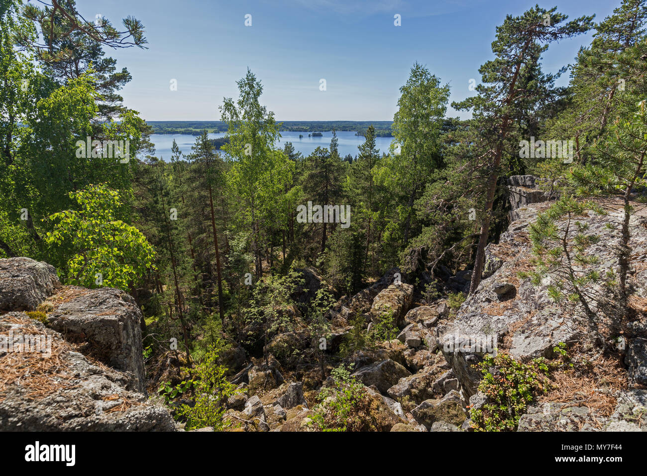 Hilltop forest hi-res stock photography and images - Alamy