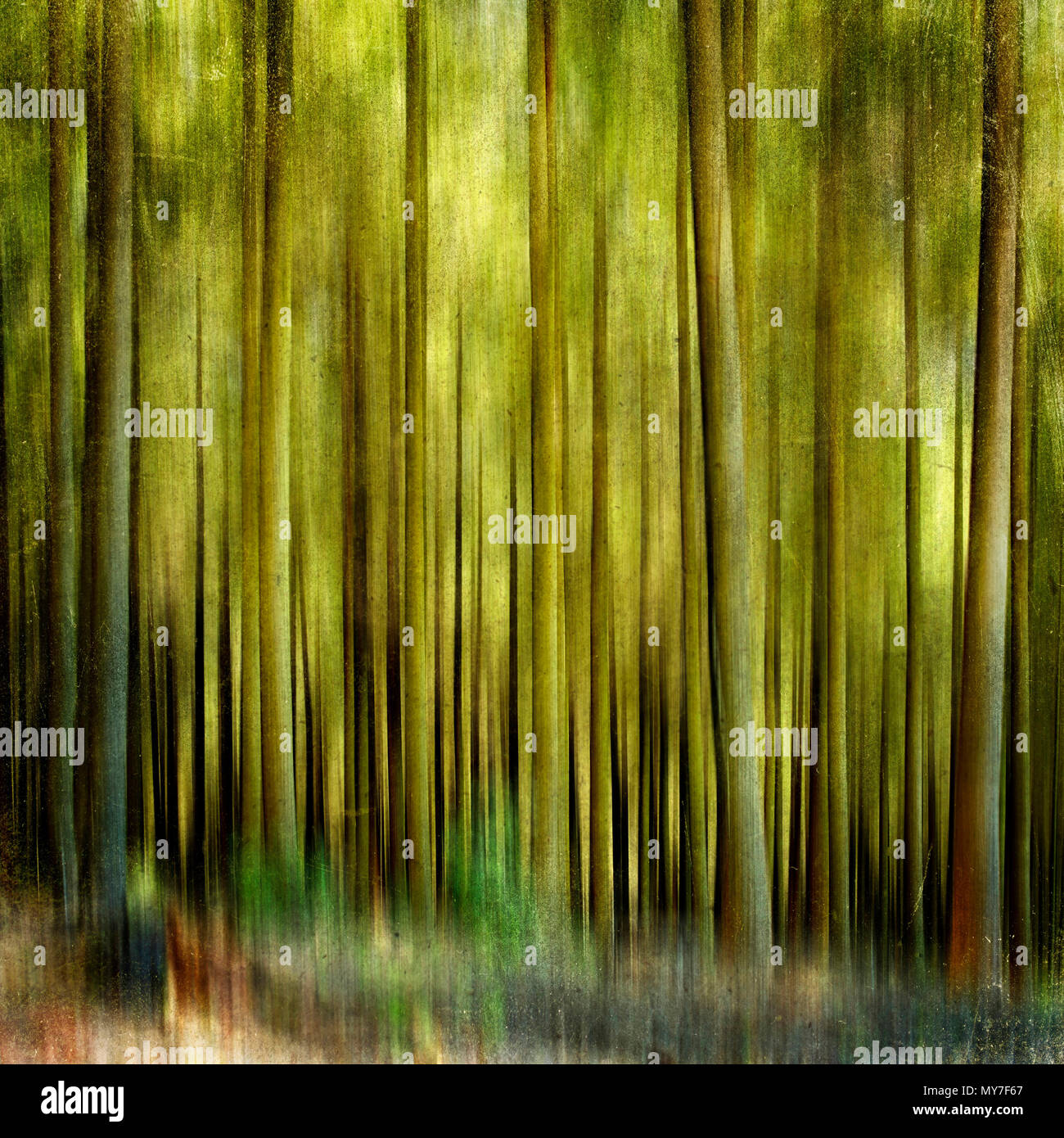 Blurred trees landscape hi-res stock photography and images - Alamy