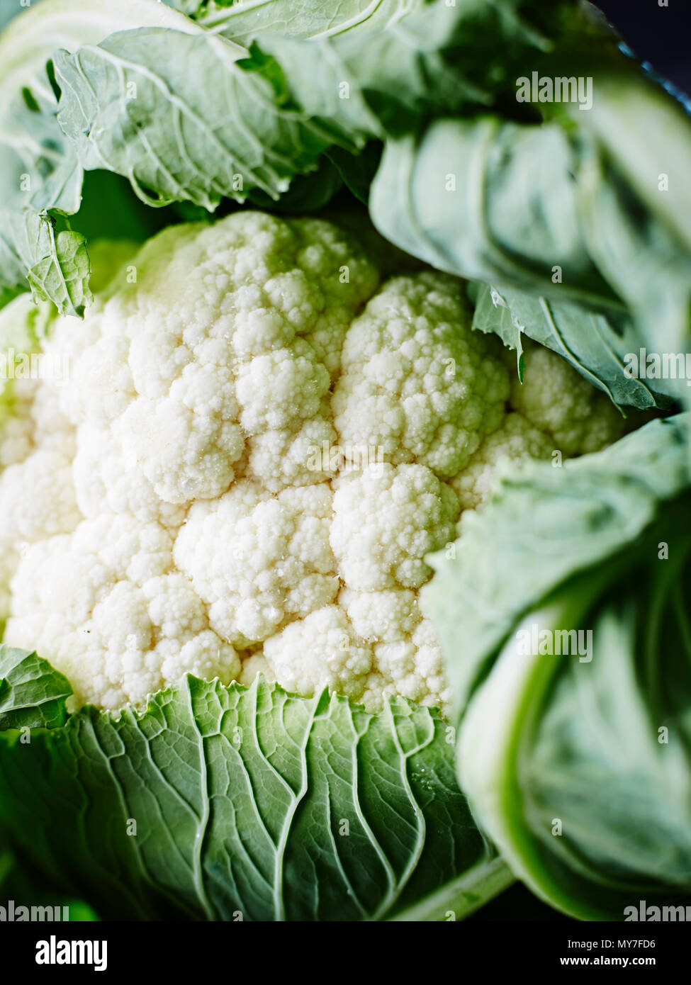 Close up cauliflower hi-res stock photography and images - Alamy