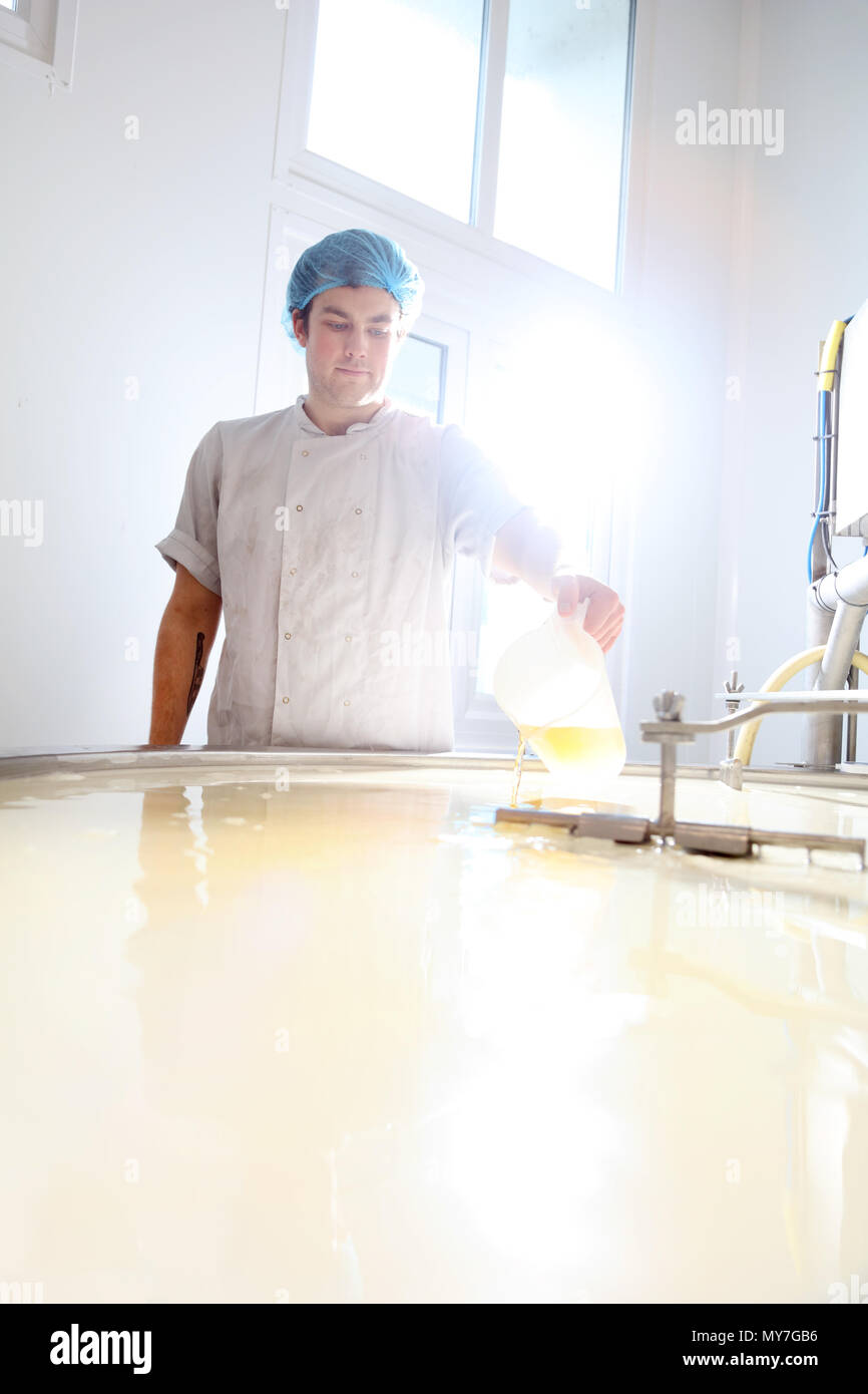 Cheese maker adding rennet to curdle cheese in vat Stock Photo - Alamy