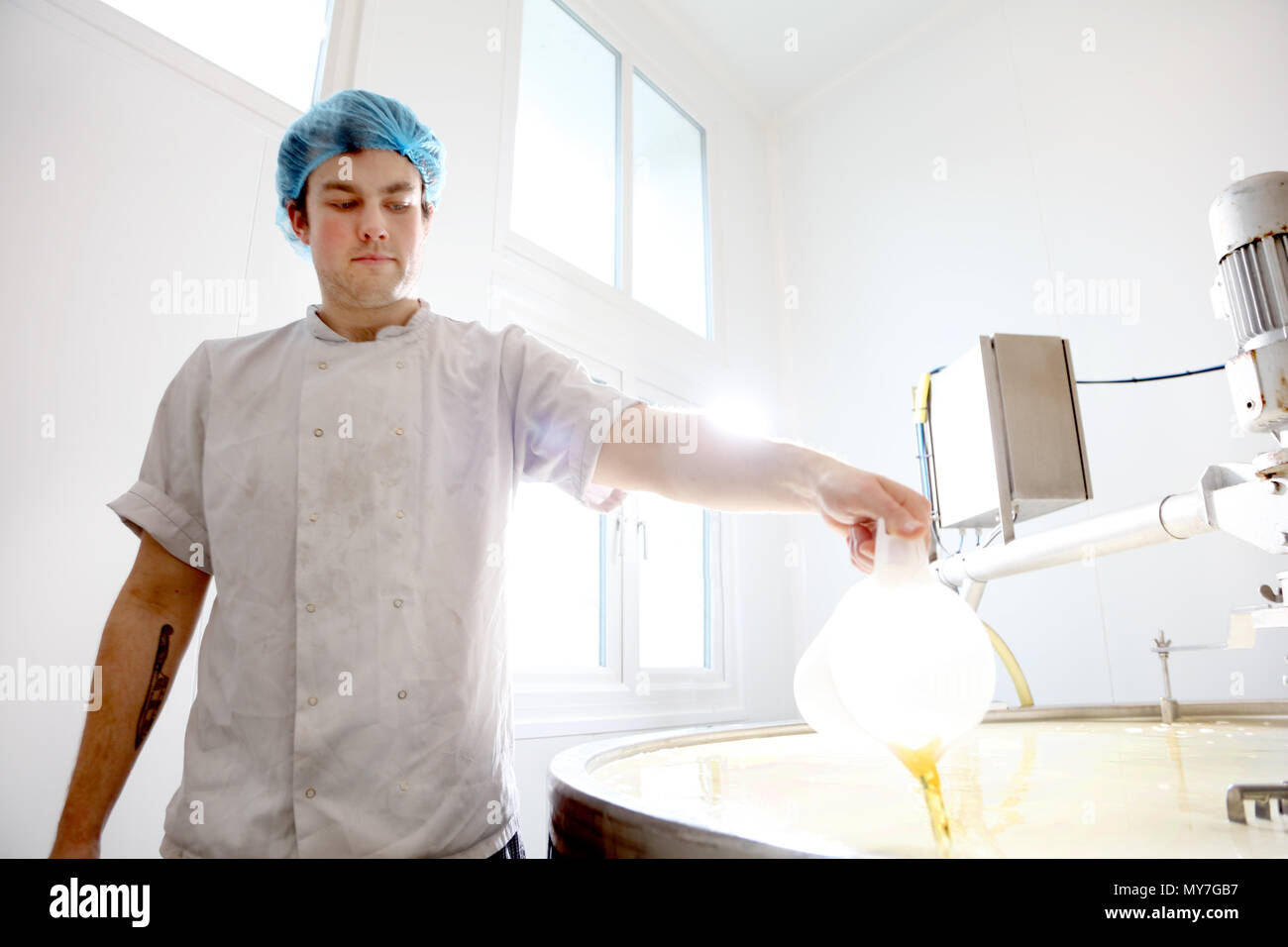 Cheese maker adding rennet to curdle cheese in vat Stock Photo - Alamy