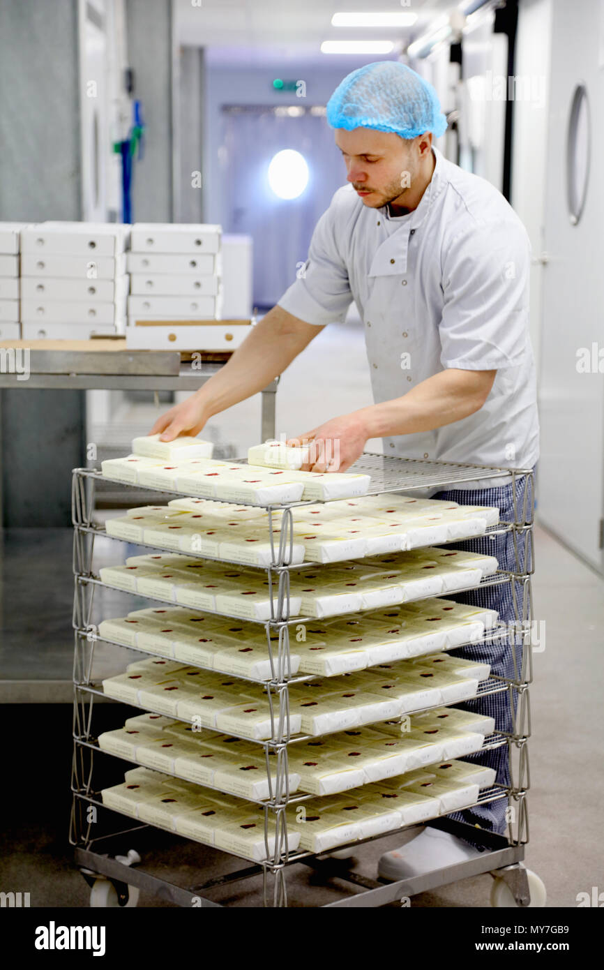 Cheese maker packing cheeses to send off to suppliers Stock Photo - Alamy