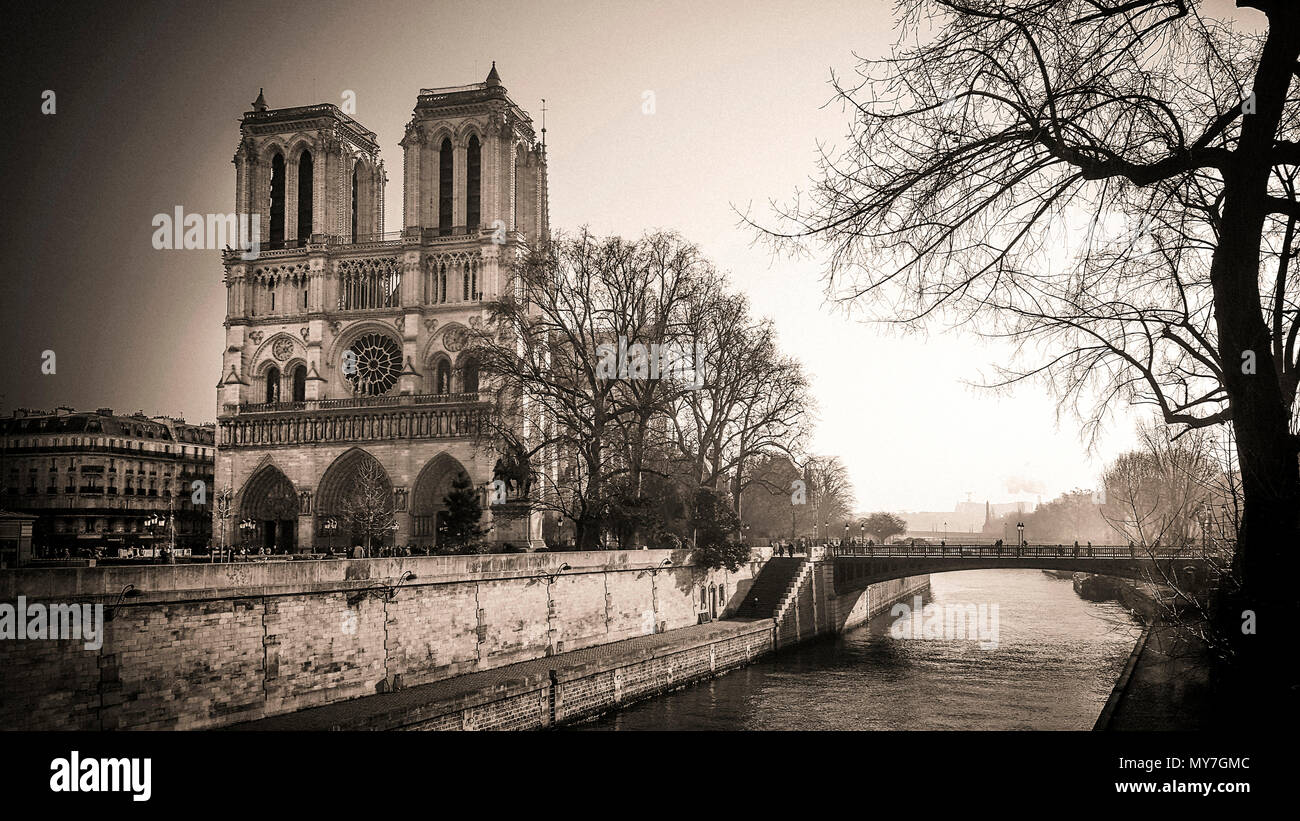 Notre Dame of Paris and River Seine, Ile de France, Paris, France Stock ...