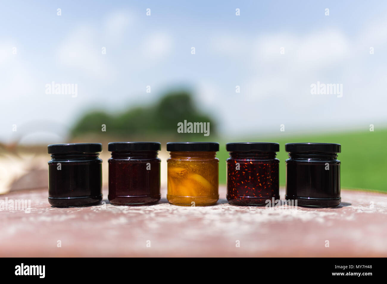 Jam jars each containing a different type of homemade fruit jam Stock ...