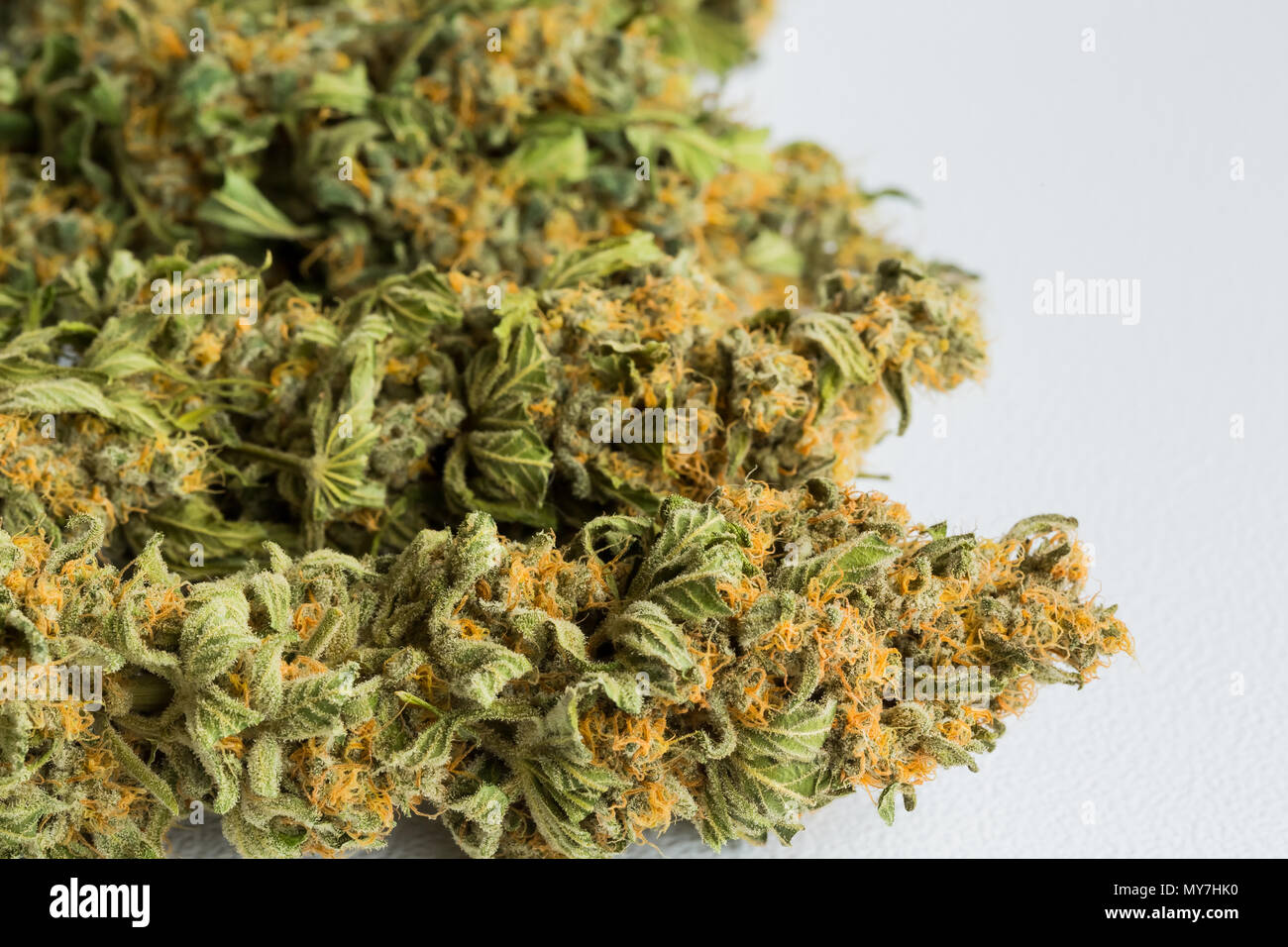 Macro close up of a dried Cannabis Medical Marijuana plant with focus ...
