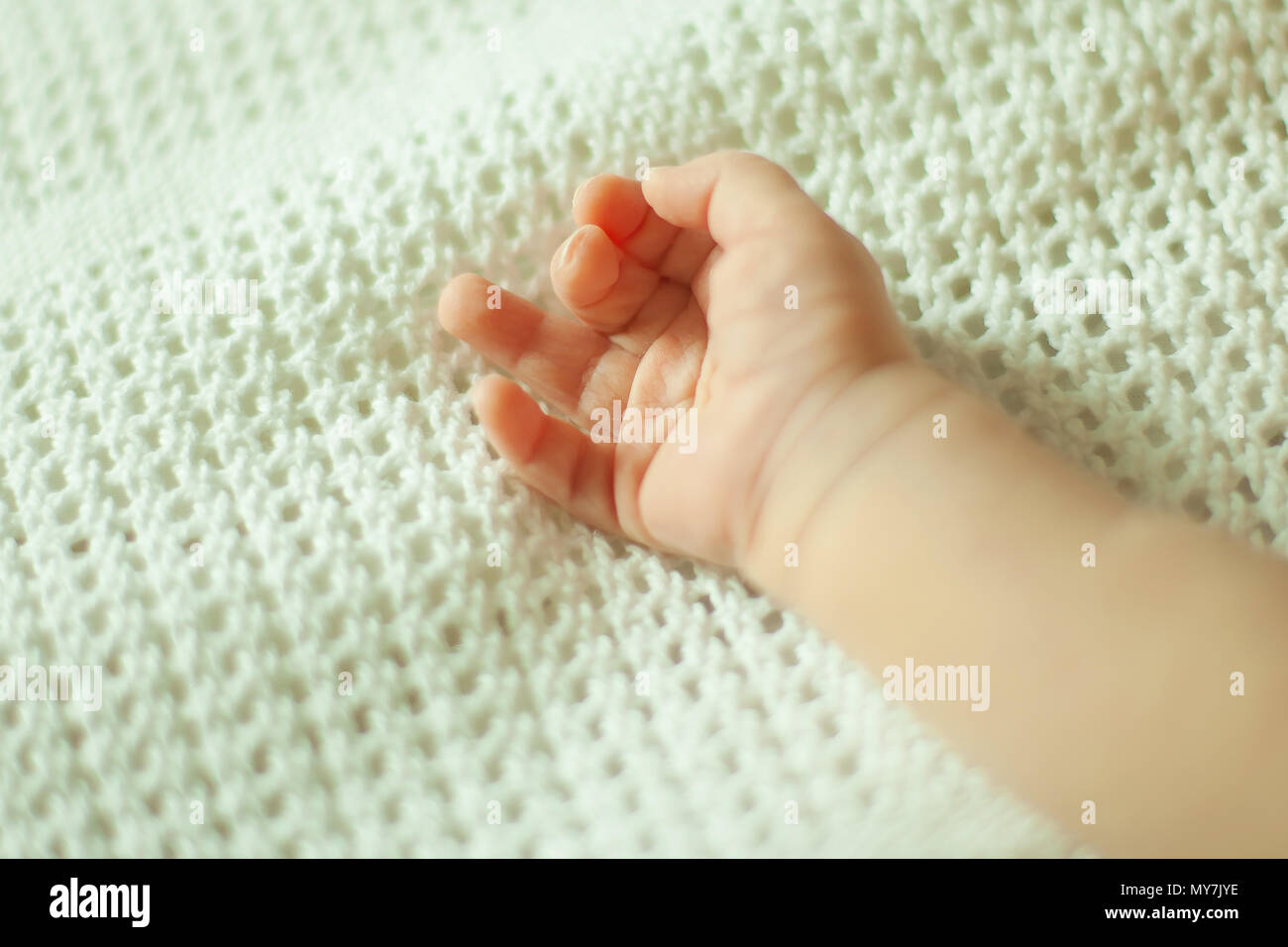 hand of a newborn baby on a white blanket Stock Photo - Alamy