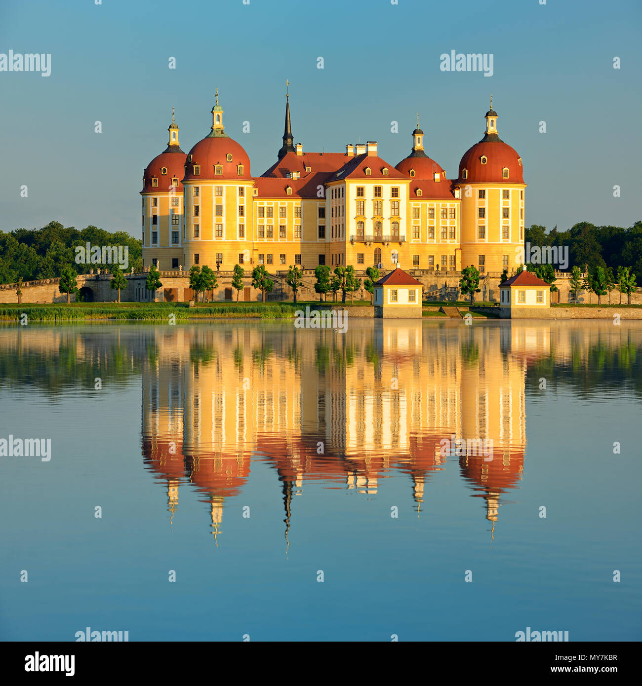 Moritzburg castle in the morning light hi-res stock photography and ...