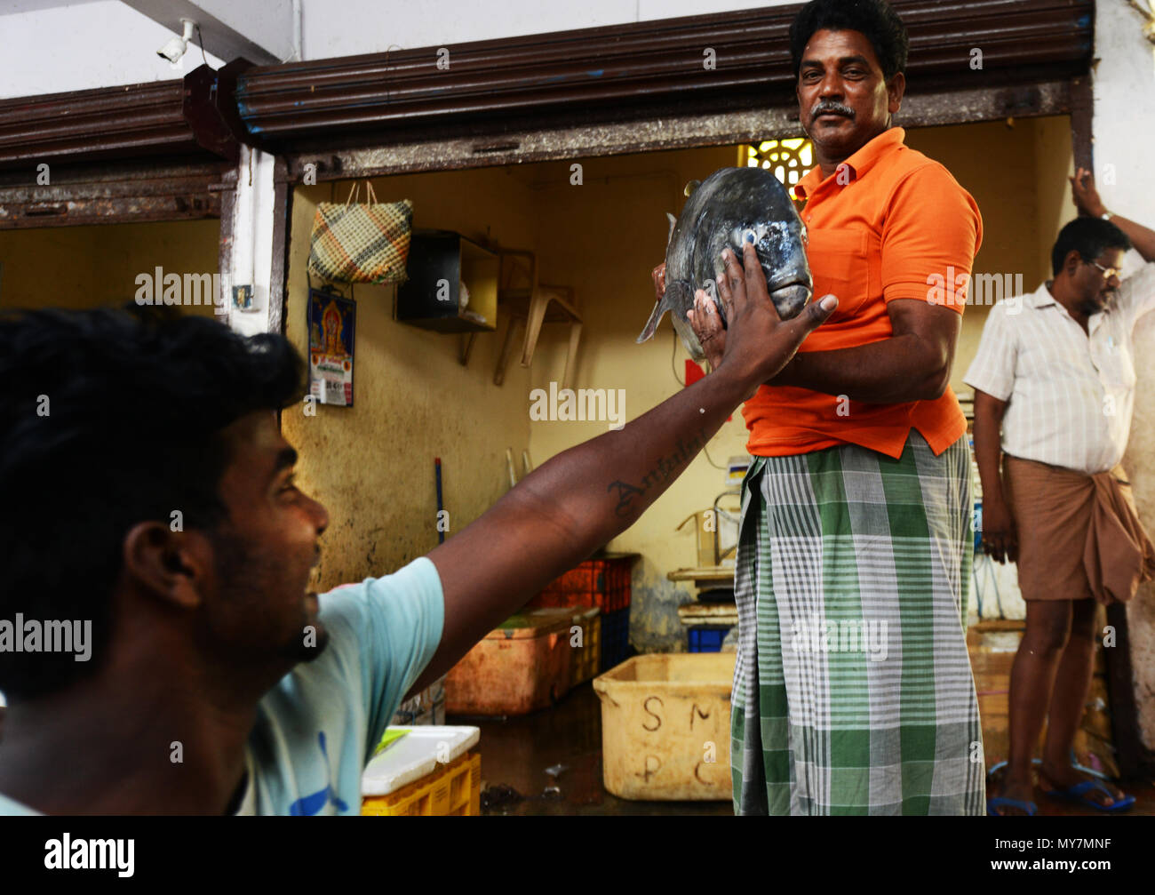Chintadripet Fish Market in Chennai, India Stock Photo - Alamy